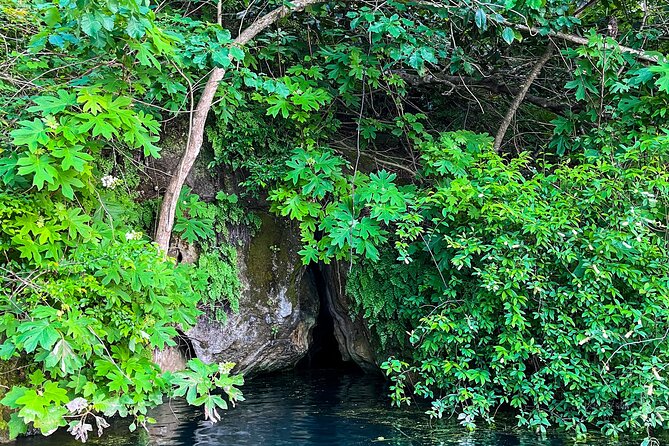 Clear Kayaking Eco Adventure Tour in Marianna - What’s Included and What to Expect