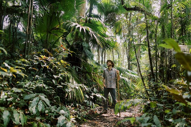 Cloud Forest Sanctuary Jungle Tour - Family-Friendly Adventure