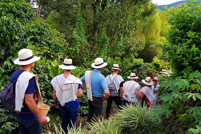 Coffee Tour at the Finca Del Café - Logistical Details and Meeting Point