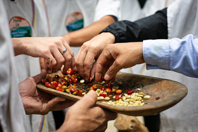 Coffee Tour With Arrival on Horseback and Sugar Cane Processing - Taking in the Coffee Plantation Experience