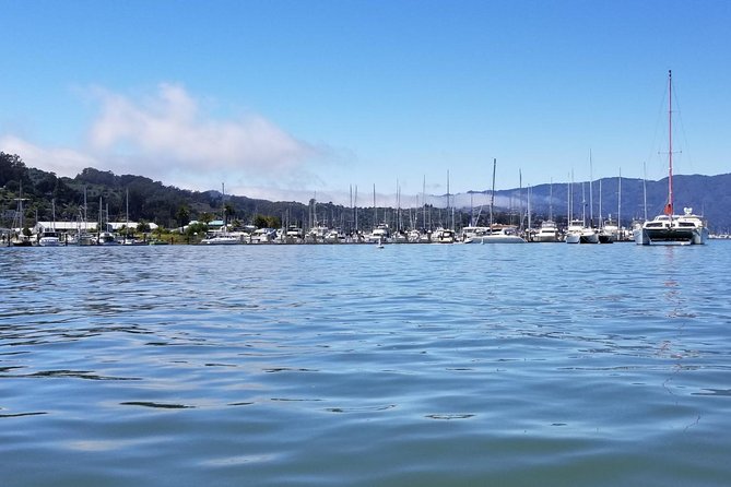 Combo Small-Group Tour: SF City Plus Muir Woods & Sausalito - Inclusions and Amenities