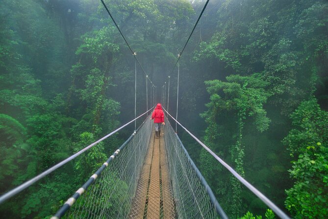 Costa Rica Pura Vida 8 Days and 7 Nights (Minimum 2 People) - Booking and Cancellation Policy