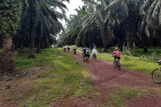 Countryside Cycling Tour. T1.0 by Matahari - FAQs