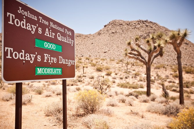 CreativeSoul ScavengerHunt(Hidden Valley,Joshua Tree)Remote Host - The Pros and Cons: Is It Worth It?