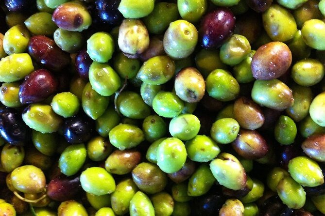 Crete: Olive, Wine, Raki - Flavorful Culinary Journey - Guest Feedback and Experience