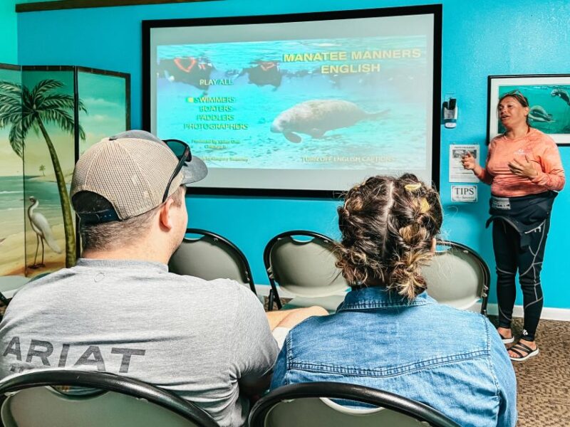 Crystal River: Manatee Snorkel Tour w/ In-Water Photographer - Practical Tips for Travelers