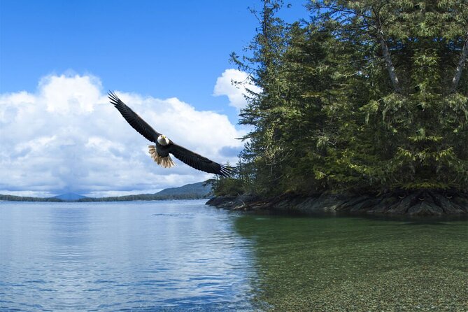 Customizable Private Tour in Ketchikan With Pick up - Meeting and Pickup Details