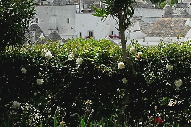 Day Tour of Ostuni, Martina Franca, Alberobello From Bari - Tour Details