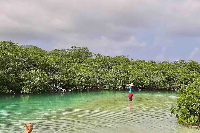 Day Trip to the Caribbean Sea on a Beautiful Sailboat - Includes Lunch - Itineraries