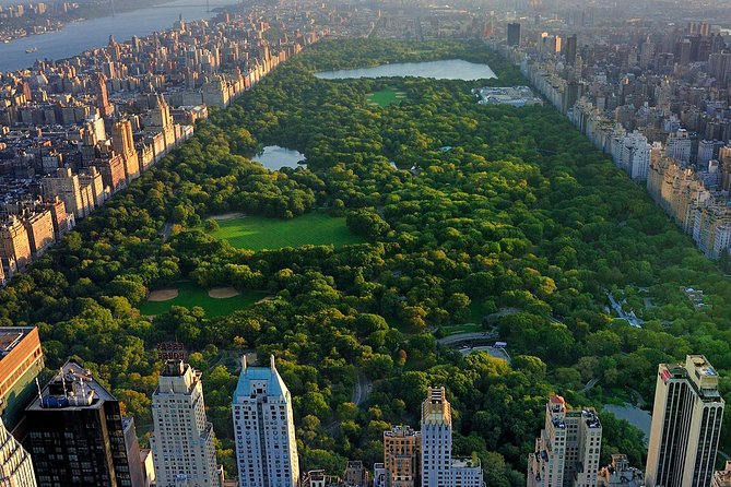 Deluxe 1.5-Hour Central Park Pedicab Tour - The Value Proposition