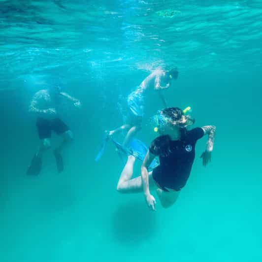 Destin: Snorkeling, Dolphins, and Crab Island - The Best Fit for This Tour