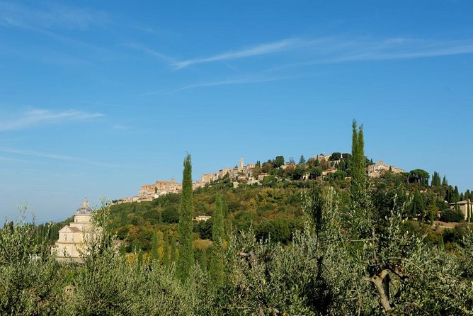 Discover Montepulciano: Cinta Senese Pigs, Lunch & Wine in a Farm - Culinary Delights of the Lunch Menu