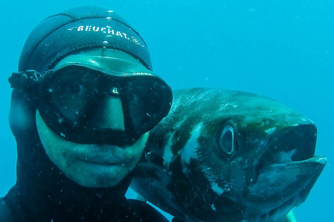 Discover Spearfishing Course - Positive Feedback and Highlights