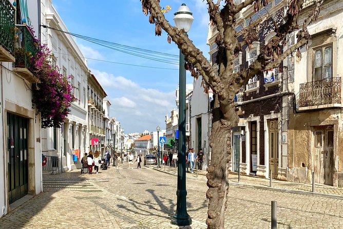 Discover Tavira - Tapas and Wine Tour - Food and Wine Highlights