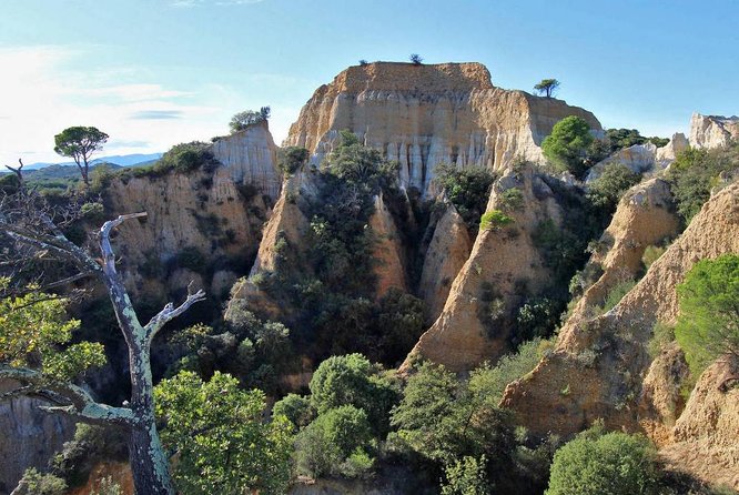 Discovery Les Orgues and Truffles Review - Positive Feedback From Visitors