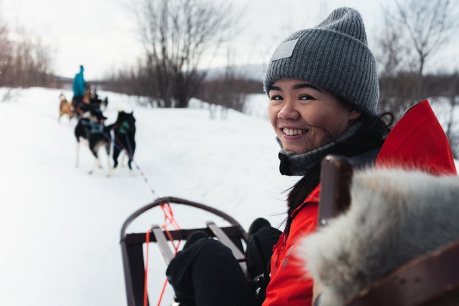Dog Sled Tour and Husky Cuddles - Interacting With the Friendly Huskies