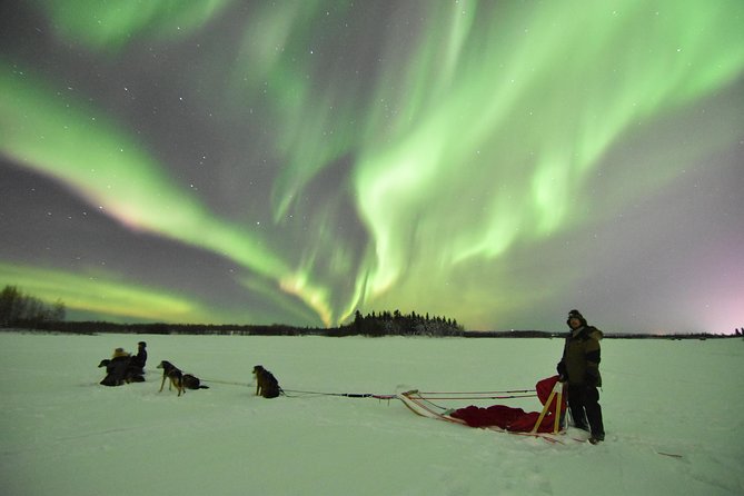 Dog Sledding and Mushing Experience in North Pole - Practical Details That Matter