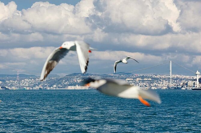 Dolmabahçe Palace Group Tour & Sunset Cruise - Gourmet Delights and Refreshments
