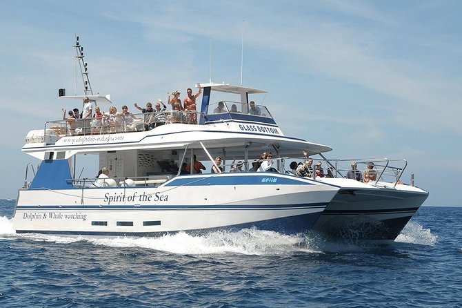 Dolphin and Whales Watching Cruise From Puerto Rico De Gran Canaria - Cruise Inclusions and Amenities
