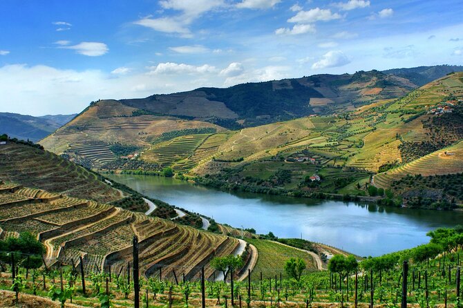 Douro Valley and Régua Cruise Review - Panoramic Cruise on the Douro River
