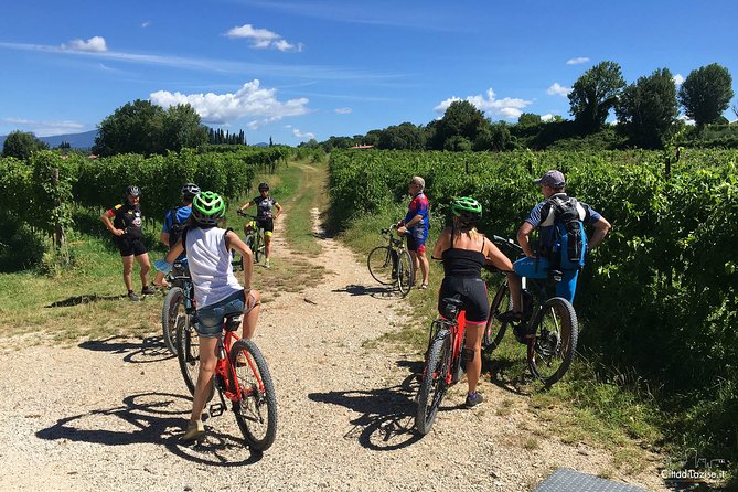 E-Bike Tour and Wine Tasting in Lazise - Who Should Consider This Tour?