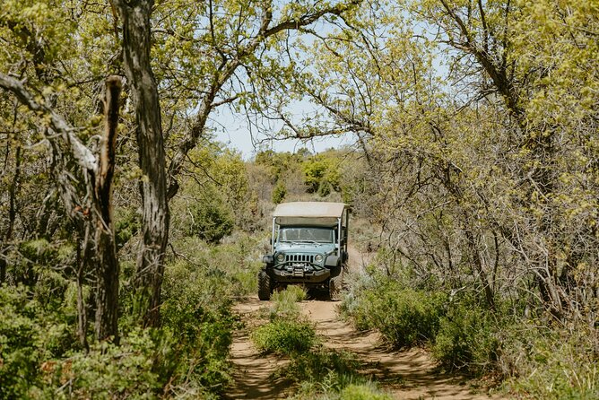 East Zion Brushy Cove Jeep Tour - FAQ