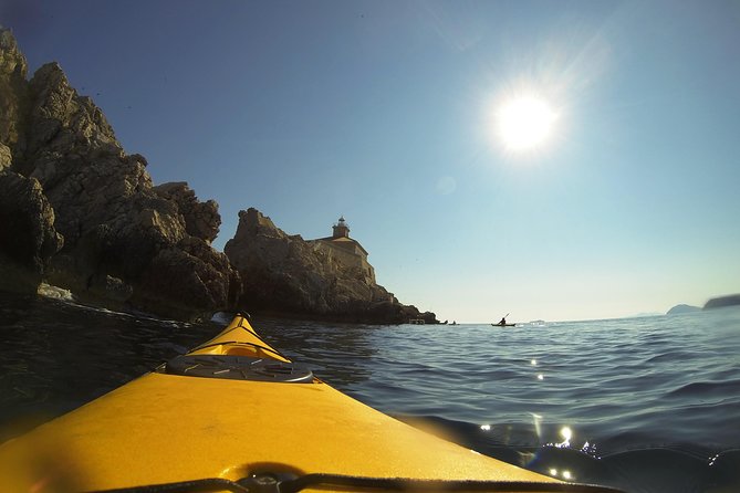 Elaphite Islands Tour Review: A Day of Adventure - Tour Experience and Reviews