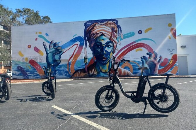 Electric Bike Guided City & Mural Tour - Exploring St. Petersburgs Murals