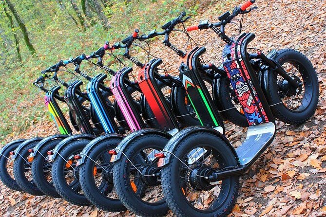 Electric Scooter Tour in Hossegor - Health and Accessibility