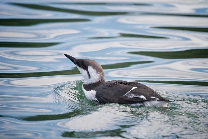 Elkhorn Slough Wildlife Tour - Who Will Love This Tour?