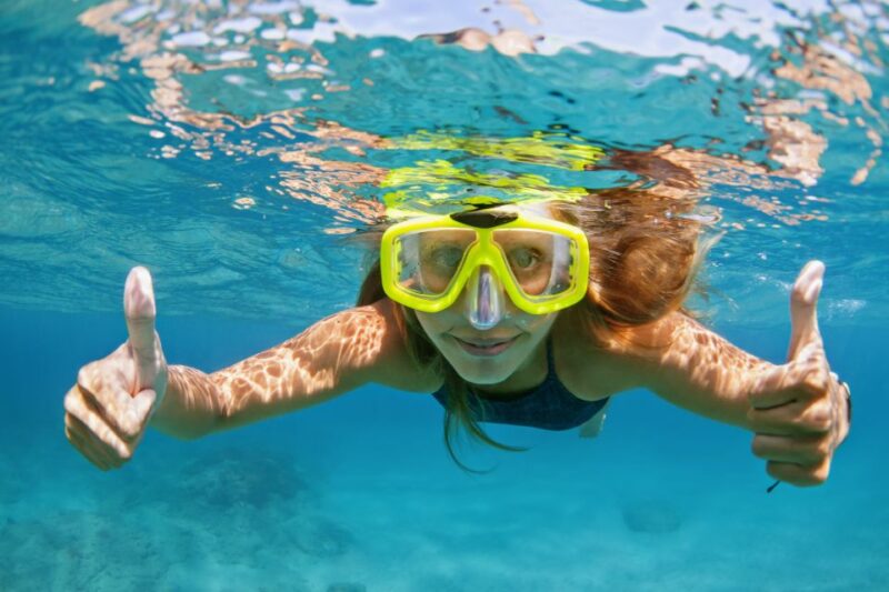Emerald Coast: Afternoon Snorkel & Dolphin Tour - Key Points
