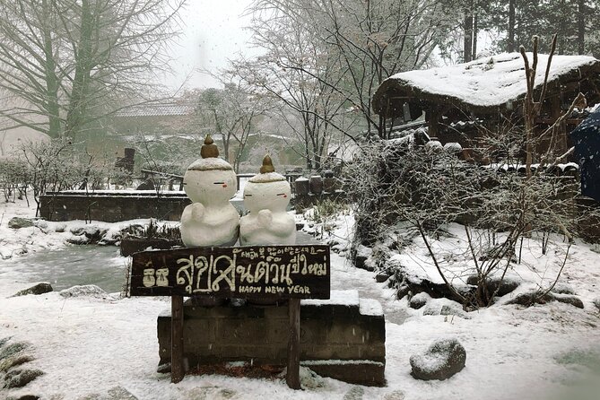Eobi Ice Valley / Elysian Ski Resort / Nami Island - Return to Seoul: Wrapping Up a Full Day