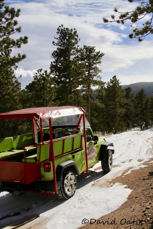 Estes Park: Rocky Mountain National Park Safari Tour - Who Will Love This Tour?