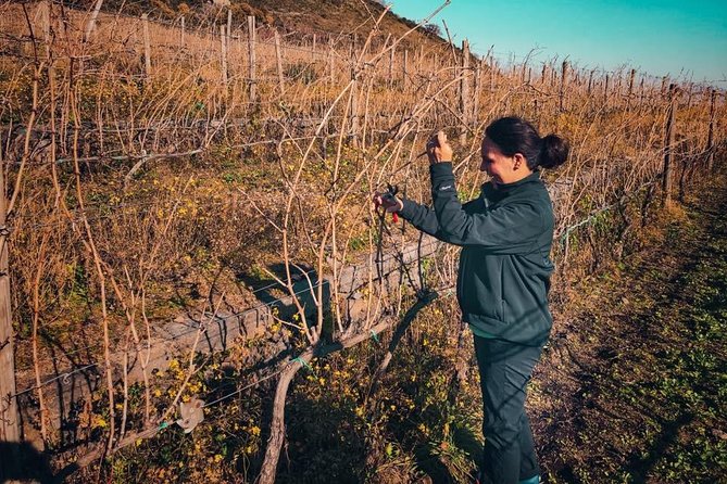 Etna Wine and Food Volcanic Day Tour - Private Experience - Tour Details and Accessibility