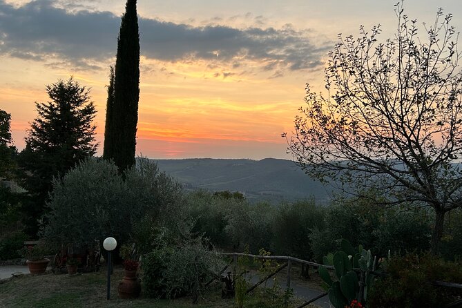 Exclusive Chianti Classico Day Trip From Florence - Transportation and Logistics