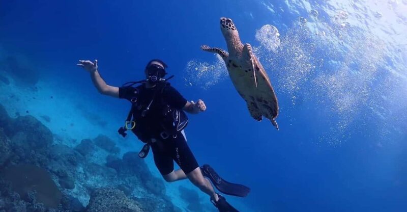 Explore Scuba diving at Racha Yai Island from Phuket - Who Would Love This Tour?