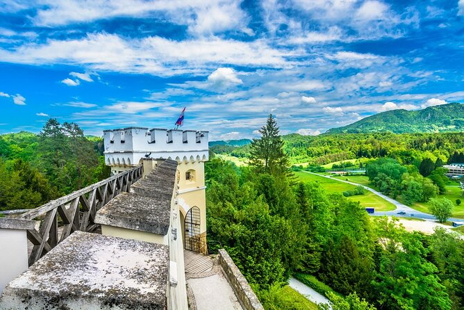 Fairytale Castle & Wine Tasting & Lunch - Wine Tasting Experience at a Family-Run Winery