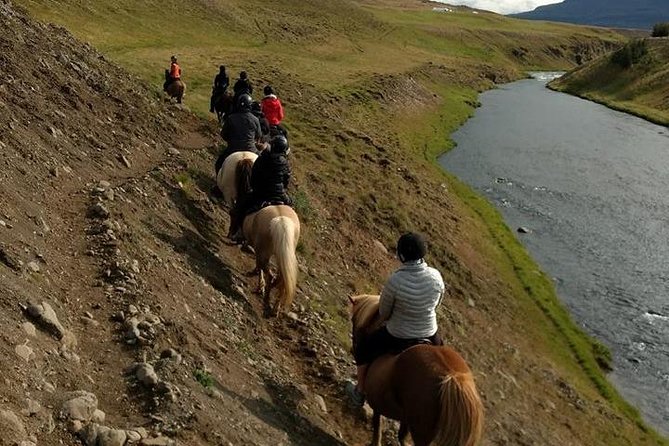 Family Friendly Horse Riding Tour in Skagafjörður - Health and Safety Guidelines