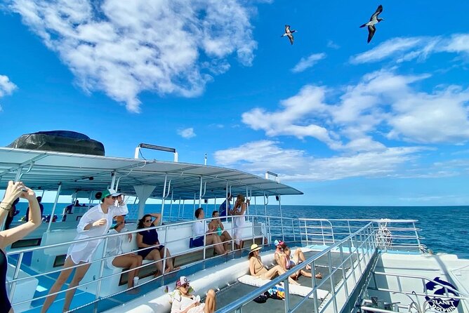 Flamingo Family Fun Catamaran Snorkel:Comfortable Shaded Seating - Meeting and Pickup