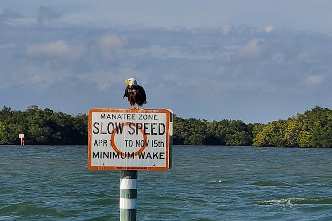 Fort Myers Beach Dolphin & Sightseeing Tour Refreshments Included - Booking and Pricing Information