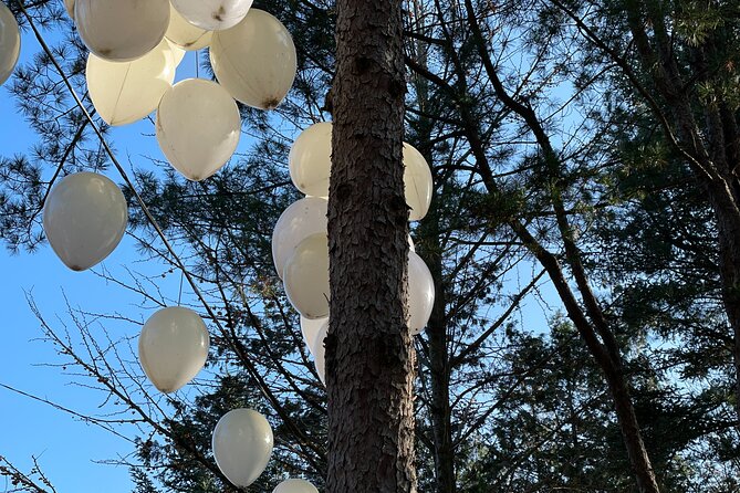 Four Seasons of Nami Island with Garden of Morning Calm Tour - Who Will Love This Tour?
