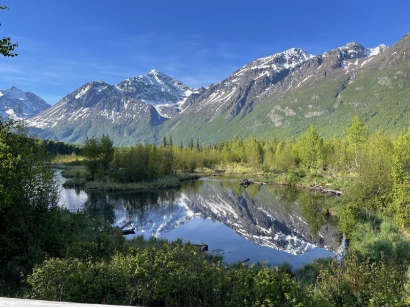 From Anchorage: Valley and Forest Hike with Naturalist Guide - The Experience: Pros & Cons