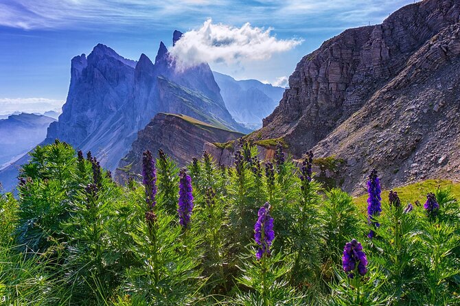 From Bolzano: Private Tour of Dolomites in Mount Seceda and Funes Valley - Traversing the Trails With a Knowledgeable Guide