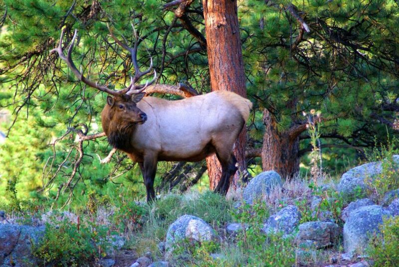 From Denver: Hike the Rockies Tour - The Experience from a Traveler’s Perspective