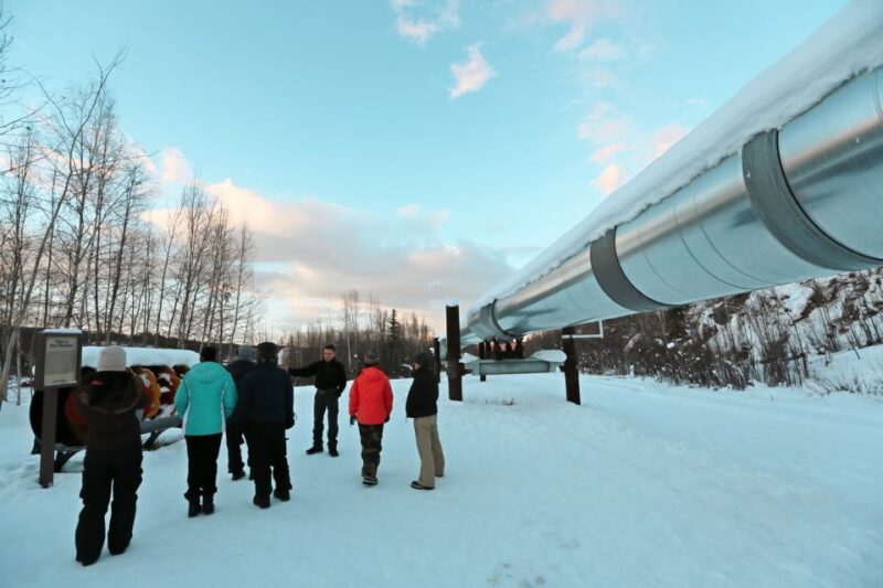 From Fairbanks: Arctic Circle Northern Lights Full-Day Trip - Frequently Asked Questions