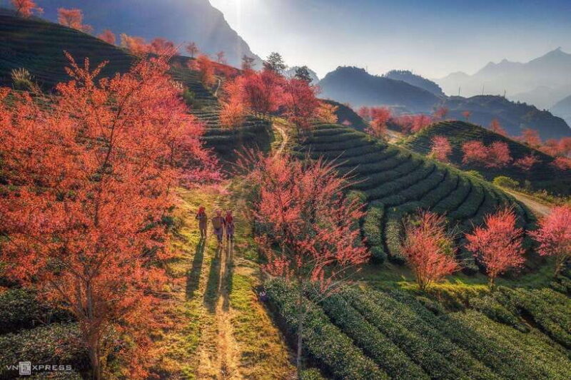 From Hanoi: 2-Day Sapa Trekking Tour with Homestay - Who Will Love This Tour?