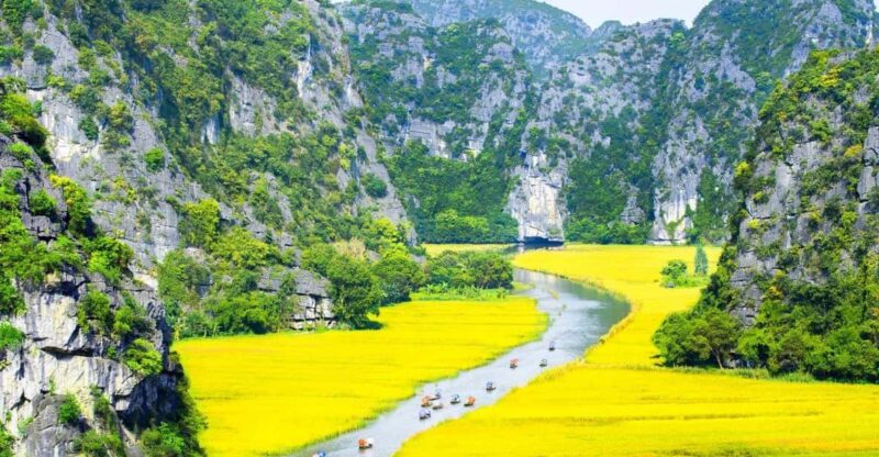 From Hanoi: Ninh Binh- Hoa Lu-Tam Coc- Mua Cave- Highlight - The Value of This Tour
