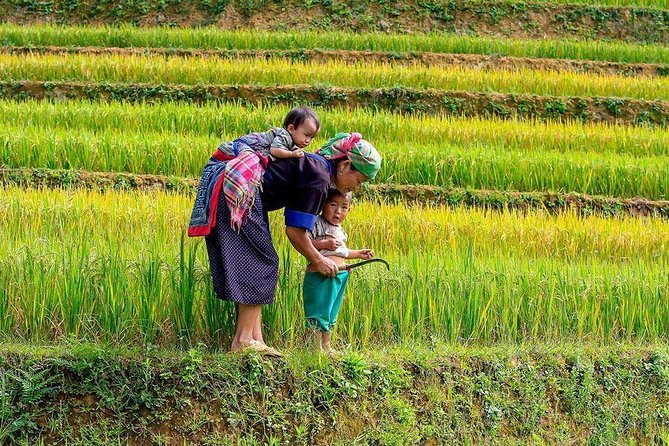 From Hanoi: Sapa Real Experience 2-Day 1 Night at Ethnic Homestay - Analyzing Value and Practicalities