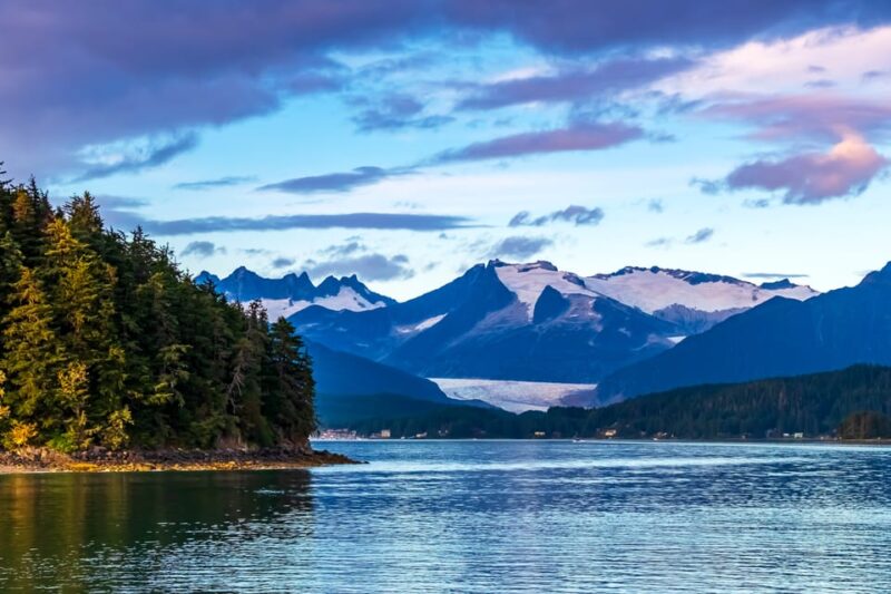 From Juneau: Whale Watching Cruise with Snacks - Breaking Down the Experience