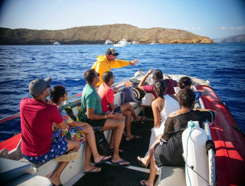 From Kihei: Molokini Crater and Turtle Town Snorkeling - Final Thoughts on Value and Experience